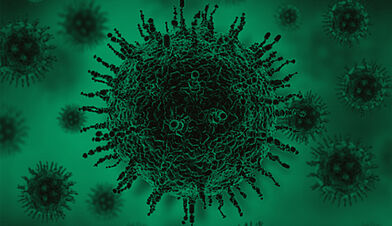 Your partner for the diagnostic laboratory | EUROIMMUN